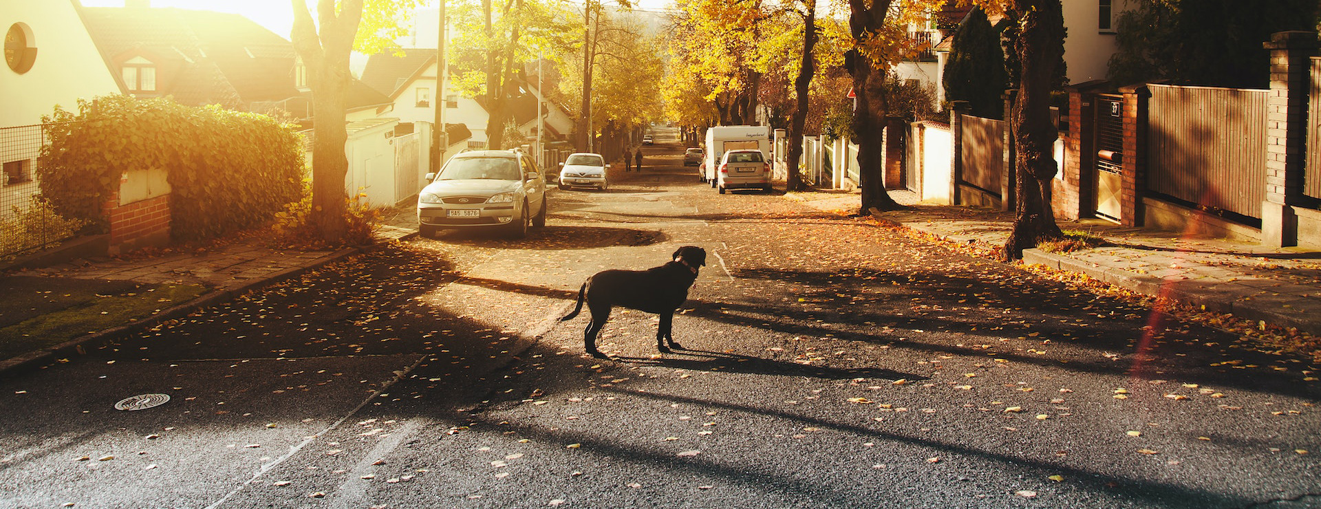 Łapy (Podlasie). Atrakcje i budynki użyteczności publicznej.